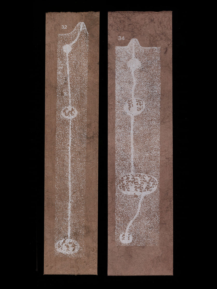 Inga – Leafcutter ant nest bookmarks