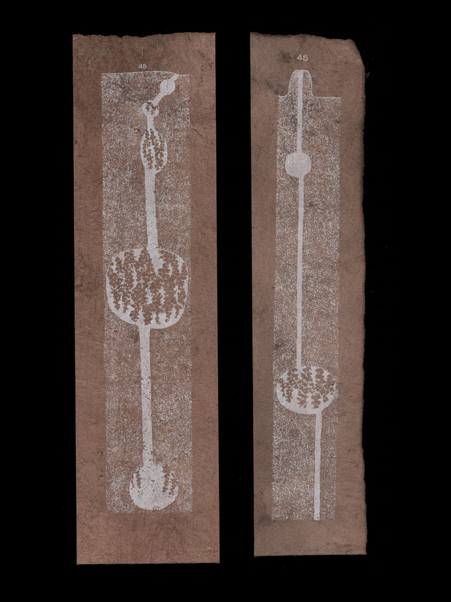 Inga – Leafcutter ant nest bookmarks